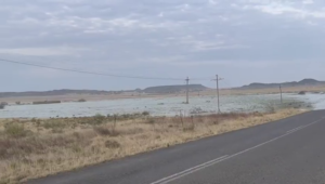 Jagersfontein mine tailings dam collapses, several dead - Mining Zimbabwe