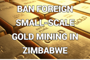 Ban All Foreign Small-Scale Gold Mining in Zimbabwe - Mining Zimbabwe