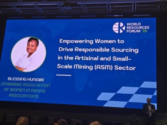 Hungwe Secures UK Grant, Demands Finance Access for Women